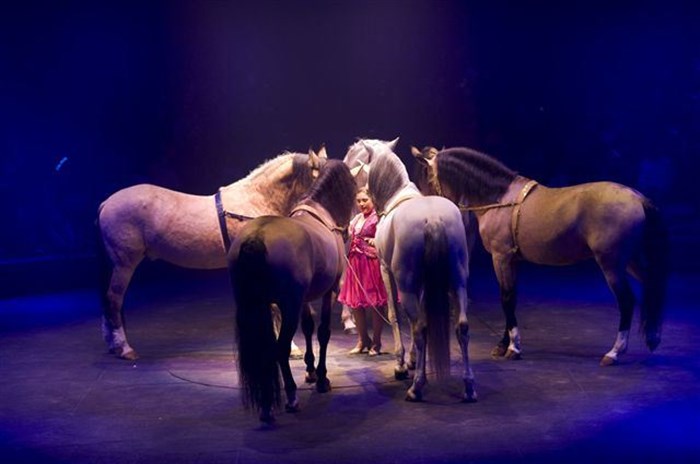 Cirque Arlette Gruss dans L'autre Monde | Valenciennes - Chapiteau ...