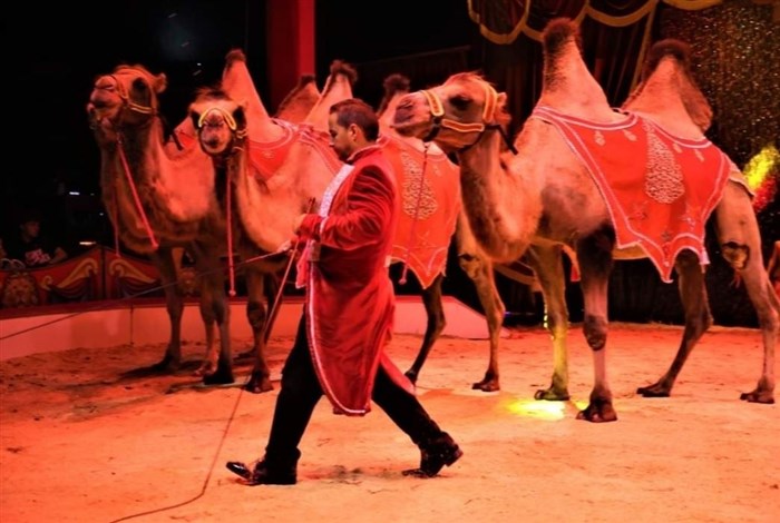 Cirque de Noël de Vineuil Saint Firmin - Chapiteau du Cirque Zavatta ...