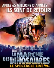 Lyon : La marche des dinosaures - Halle Tony Garnier | Billet Réduc'
