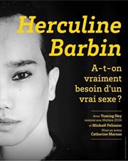 Avignon : Herculine Barbin, archéologie d'une révolution - Au Palace ...