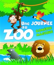 Avignon : Une journée au zoo - Théâtre Le Célimène | Billet Réduc'